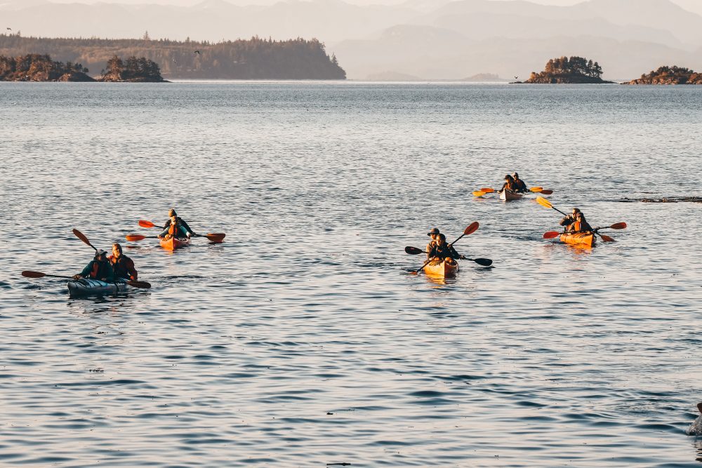 2 Hour Sea Kayaking Guided Tour - North Island Kayak