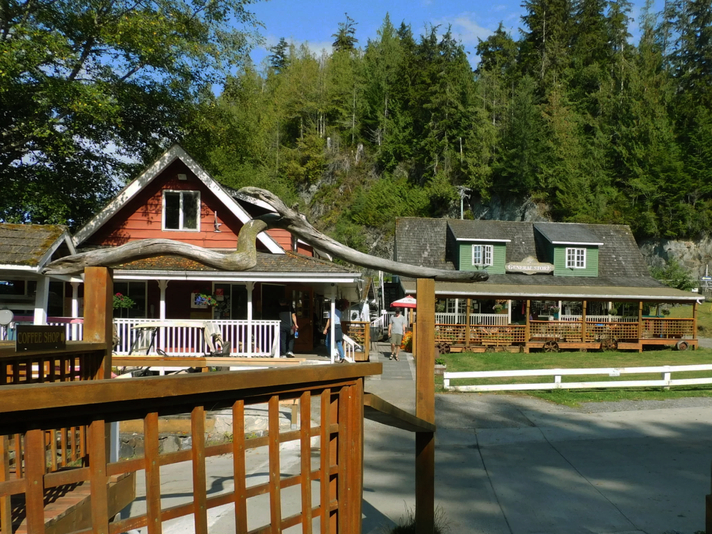 Best Things to Do in Telegraph Cove, BC