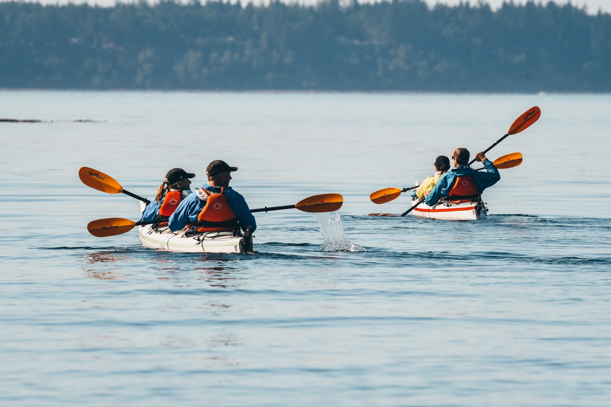 BC Kayak Trips - North Island Kayak