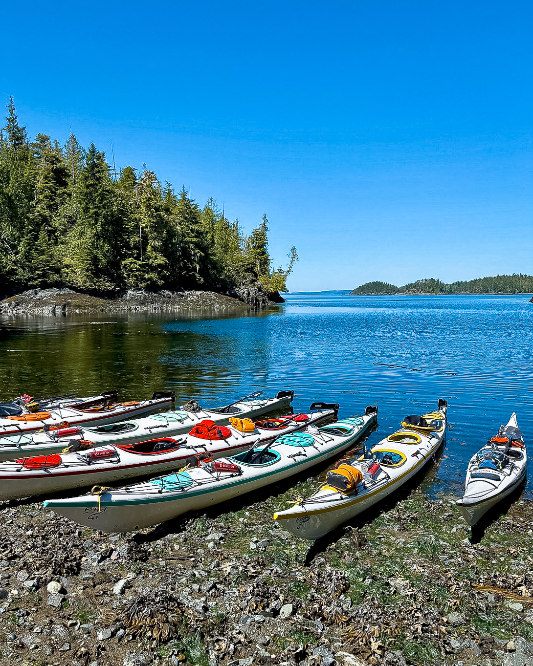 Sea Kayaking for Beginners - North Island Kayak